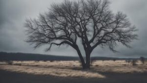 Apathisch: Definition, Bedeutung und Beispiele für Apathie im Alltag ...